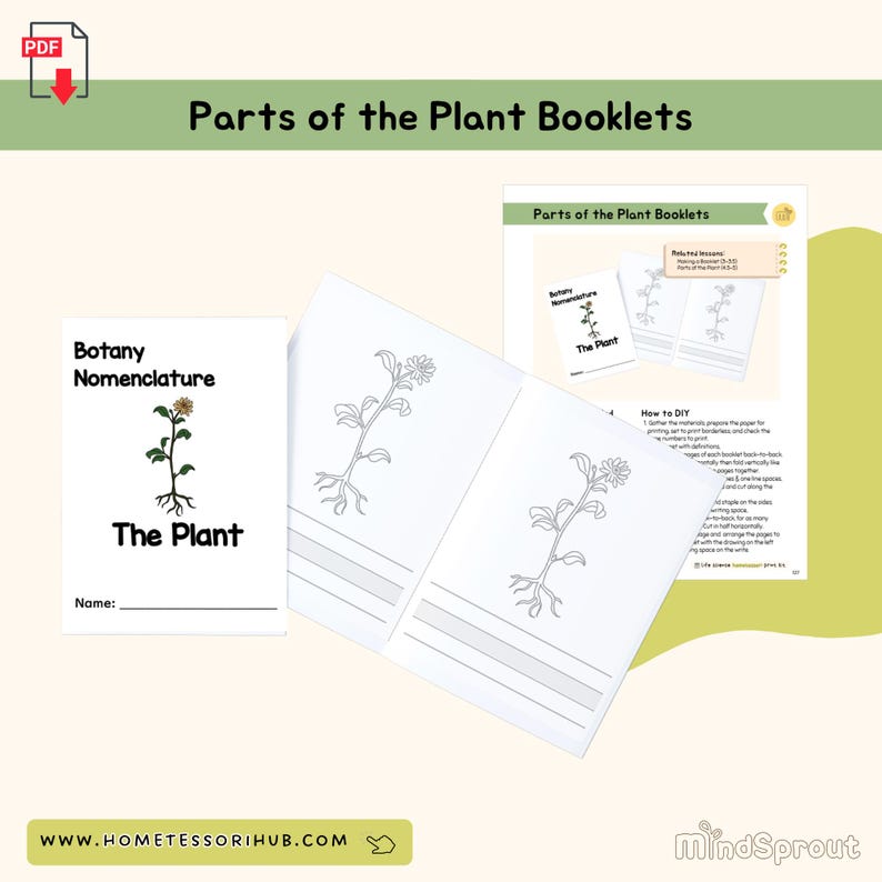 Parts of the Seed, Seedling, Plant Cards, Chart & Booklets Botany ...