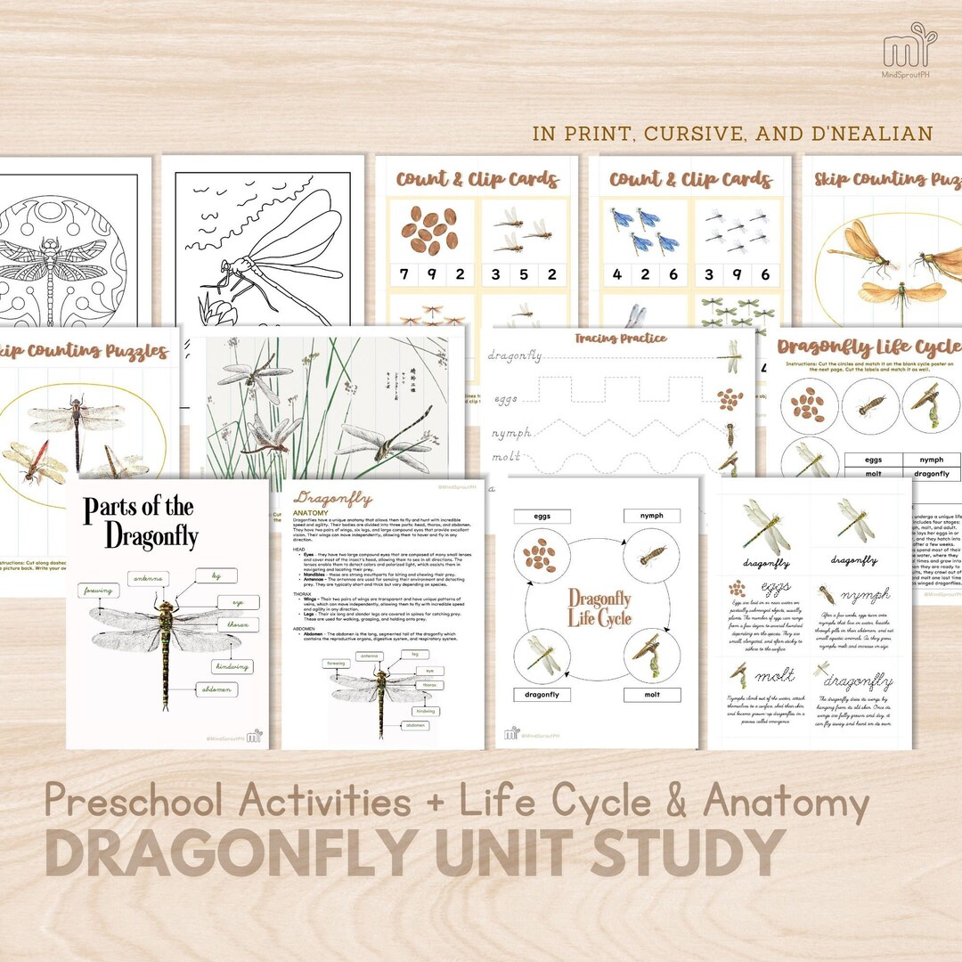 DRAGONFLY Unit Study Bundle Preschool Activities Life Cycle of ...