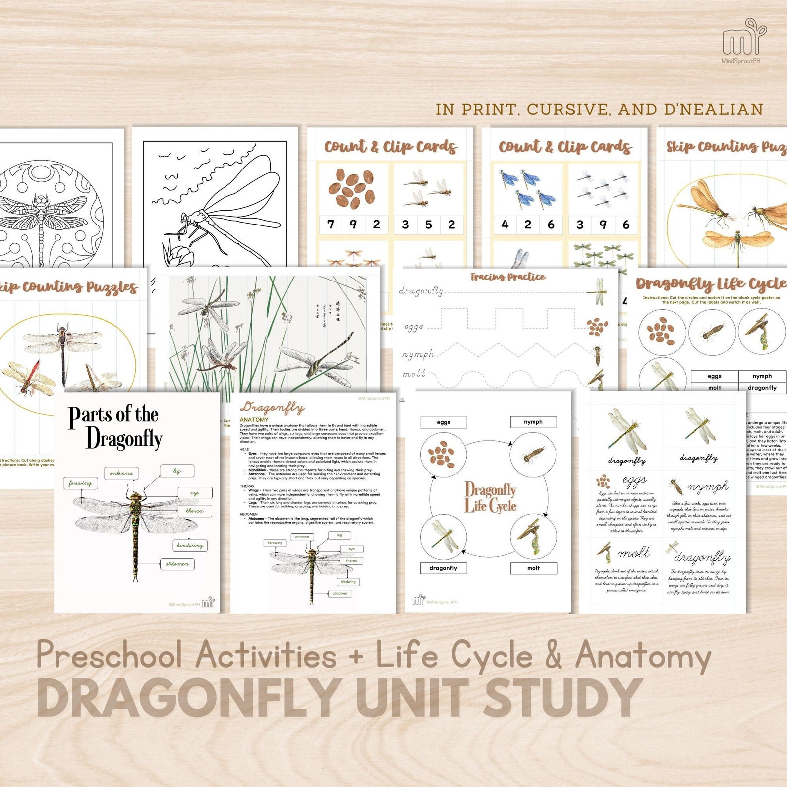 DRAGONFLY Unit Study Bundle Preschool Activities Life Cycle of ...