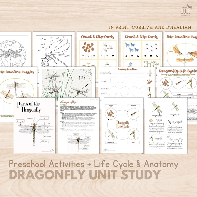 DRAGONFLY Unit Study Bundle Preschool Activities Life Cycle of ...