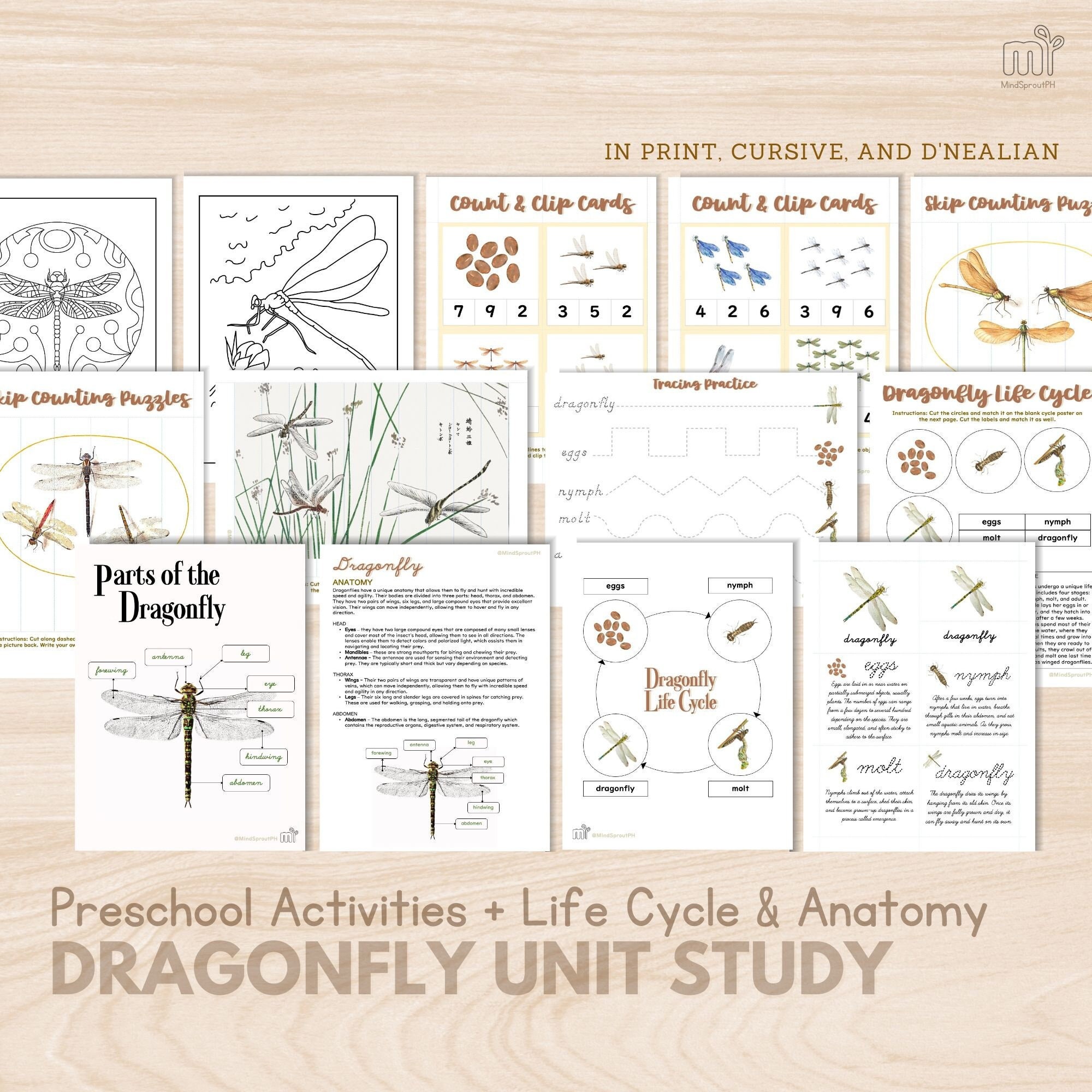 DRAGONFLY Unit Study Bundle Preschool Activities Life Cycle of ...