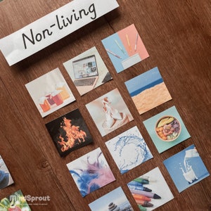 LIVING and Non-living Sorting Cards Montessori Activity Preschool ...
