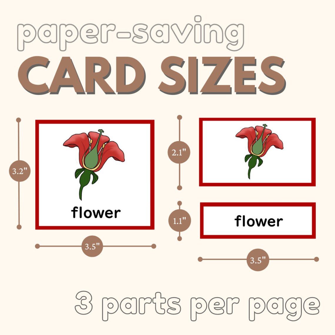 Parts of the FLOWER Montessori Botany Unit Study 5-part Card Definition ...