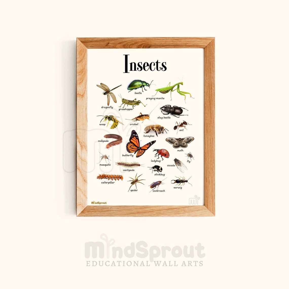 Educational Wall Art Montessori Chart Insects Poster Home Decor for ...