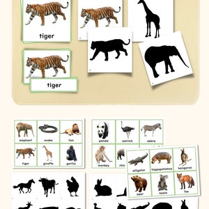 WILD ANIMALS Montessori Nomenclature 3 Part Card Silhouette Shadow ...