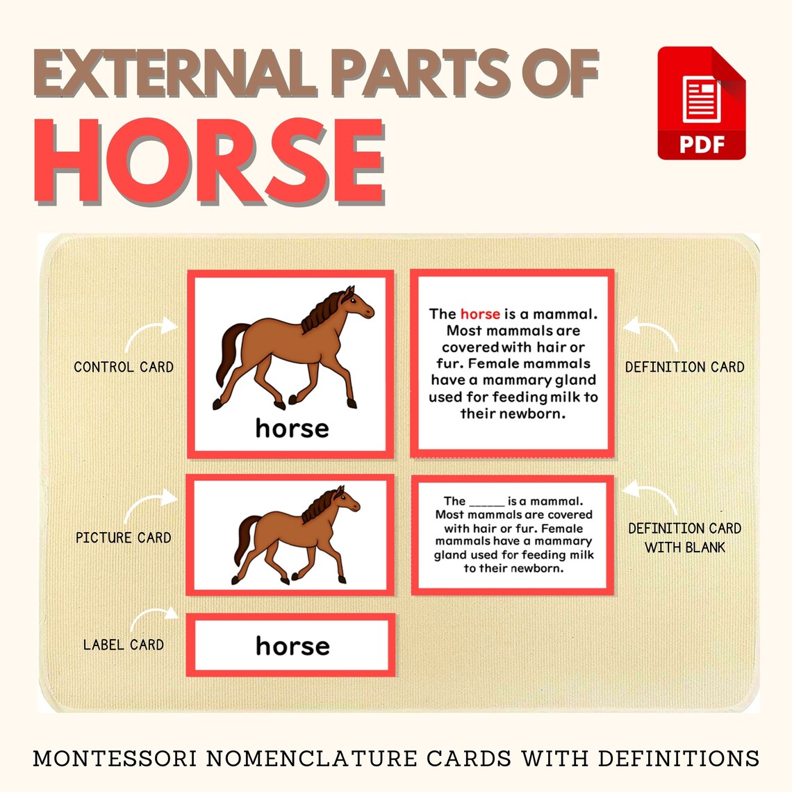MAMMALS Zoology Unit Study Parts of Horse Montessori Nomenclature 5 ...