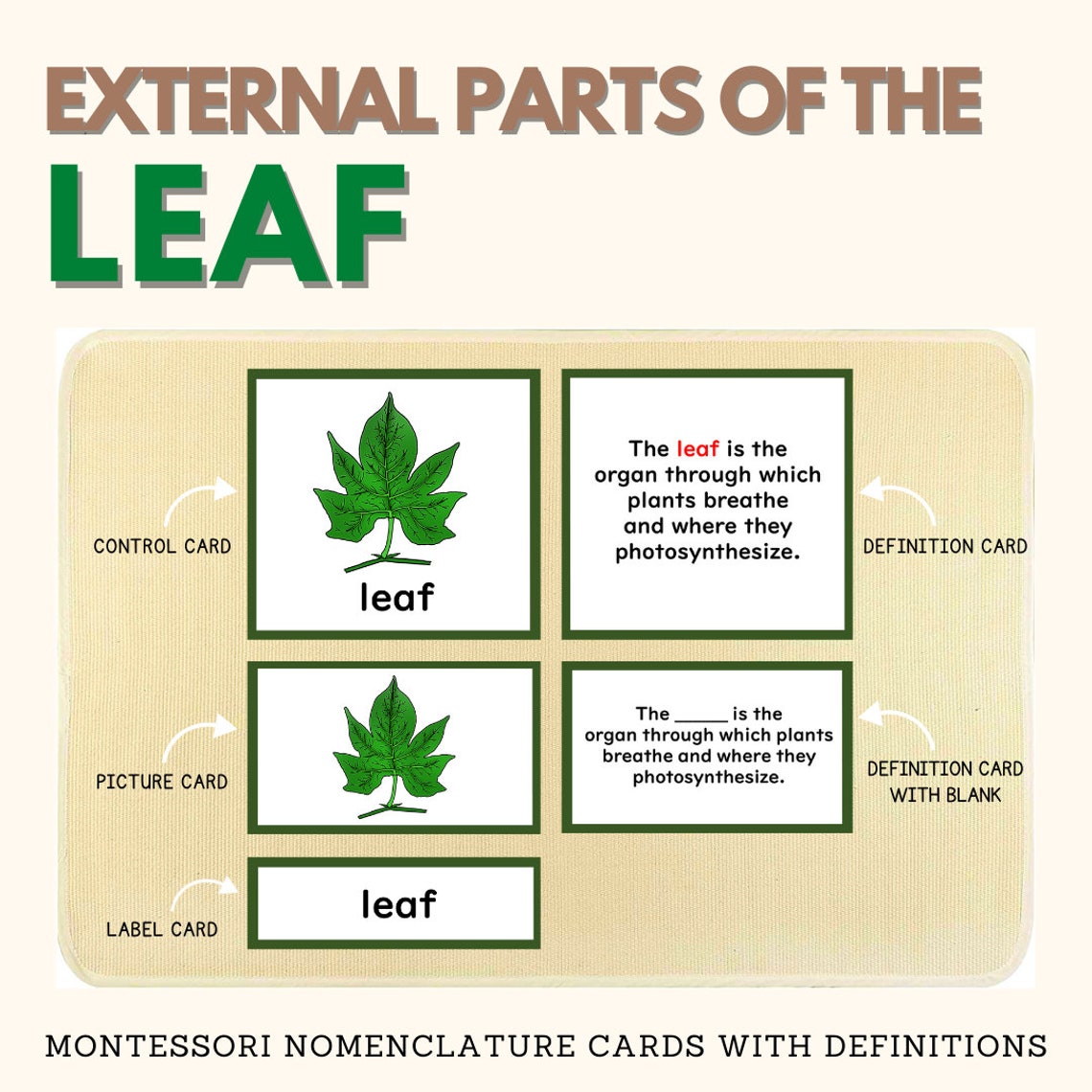 Parts of the LEAF Montessori Botany Unit Study 5-part Card Definition ...