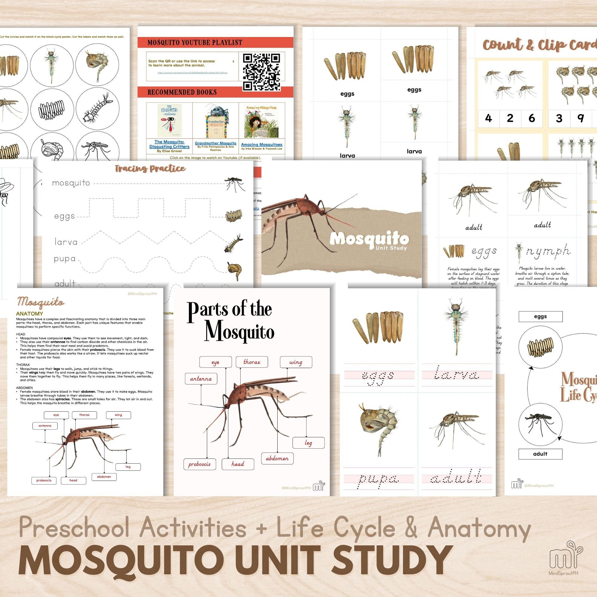 MOSQUITO Unit Study Bundle Preschool Activities Life Cycle of Mosquito ...