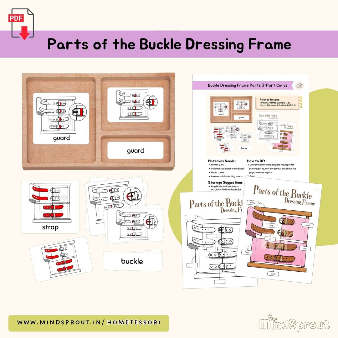 Parts of Buckle Dressing Frame 3-part Cards Montessori Practical Life ...
