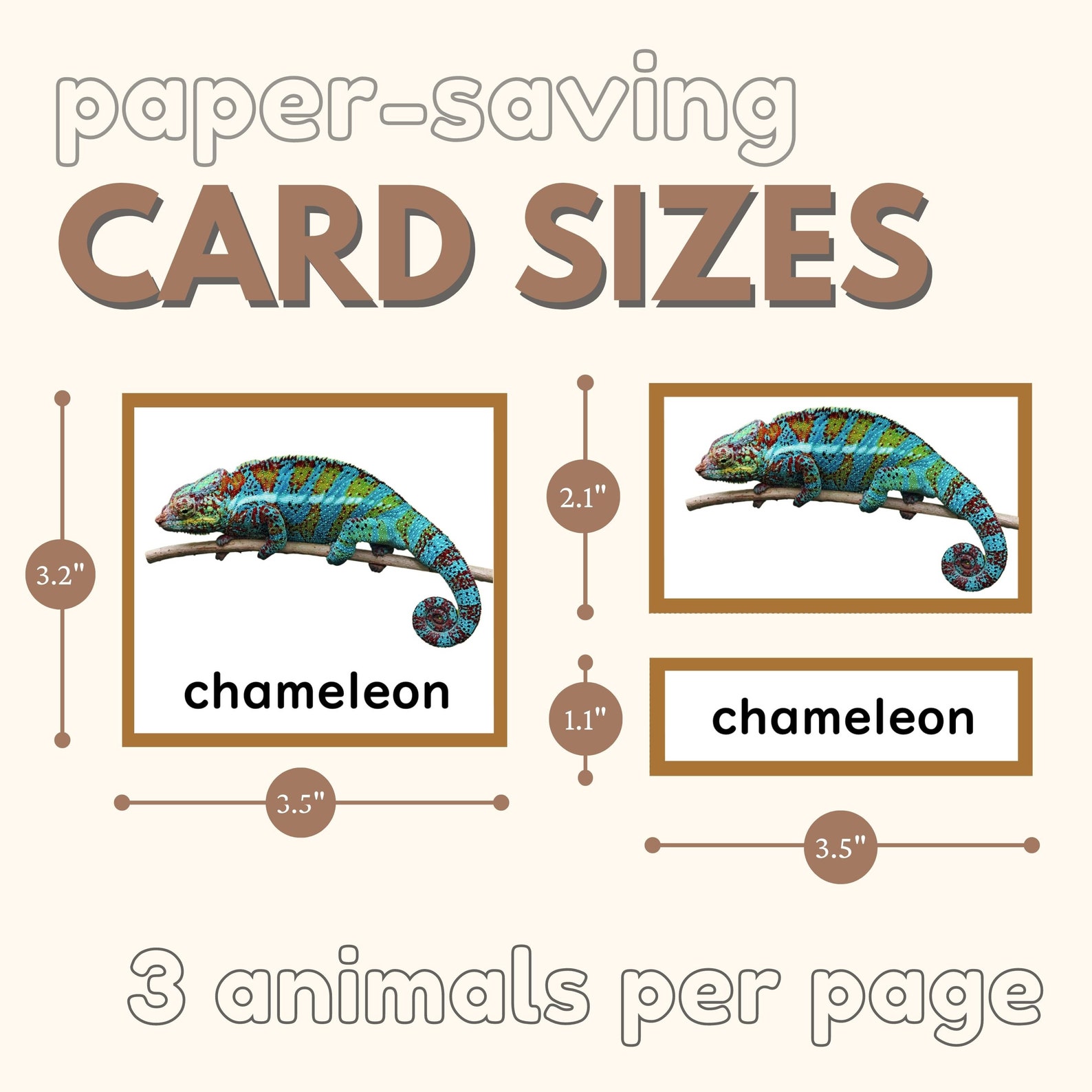 REPTILES Three Part Cards Montessori Nomenclature 3-part Classified ...