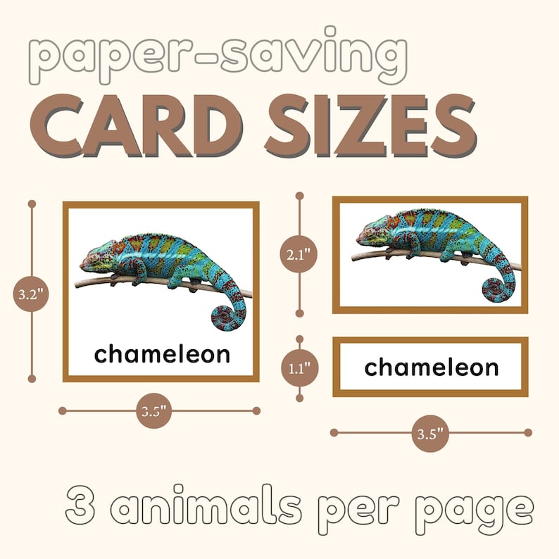 REPTILES Three Part Cards Montessori Nomenclature 3-part Classified ...