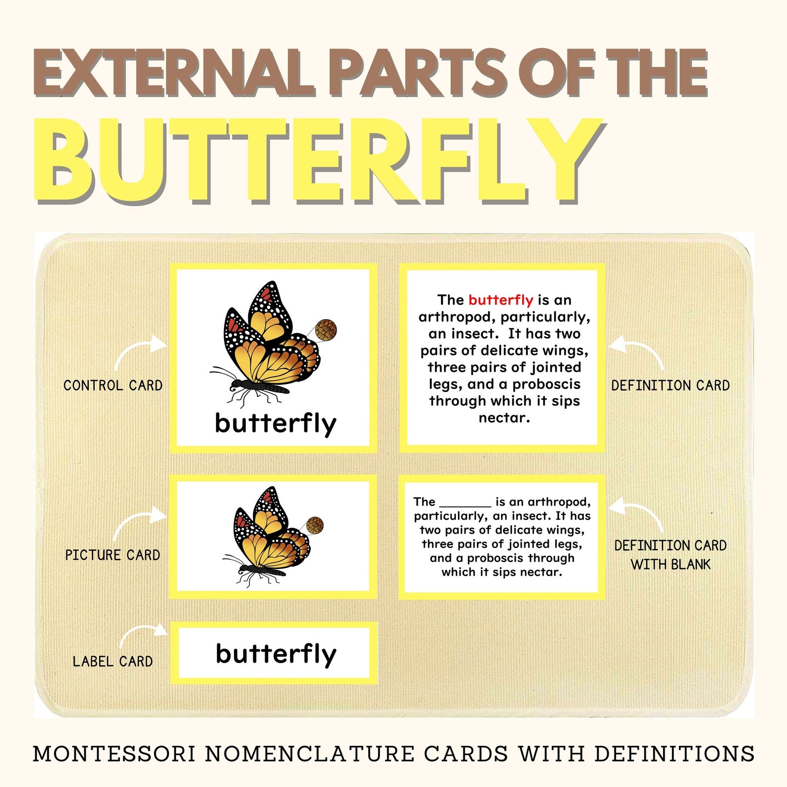 ARTHROPODS Zoology Unit Parts of Butterfly Montessori Nomenclature 5 ...