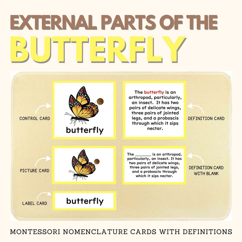 ARTHROPODS Zoology Unit Parts of Butterfly Montessori Nomenclature 5 ...