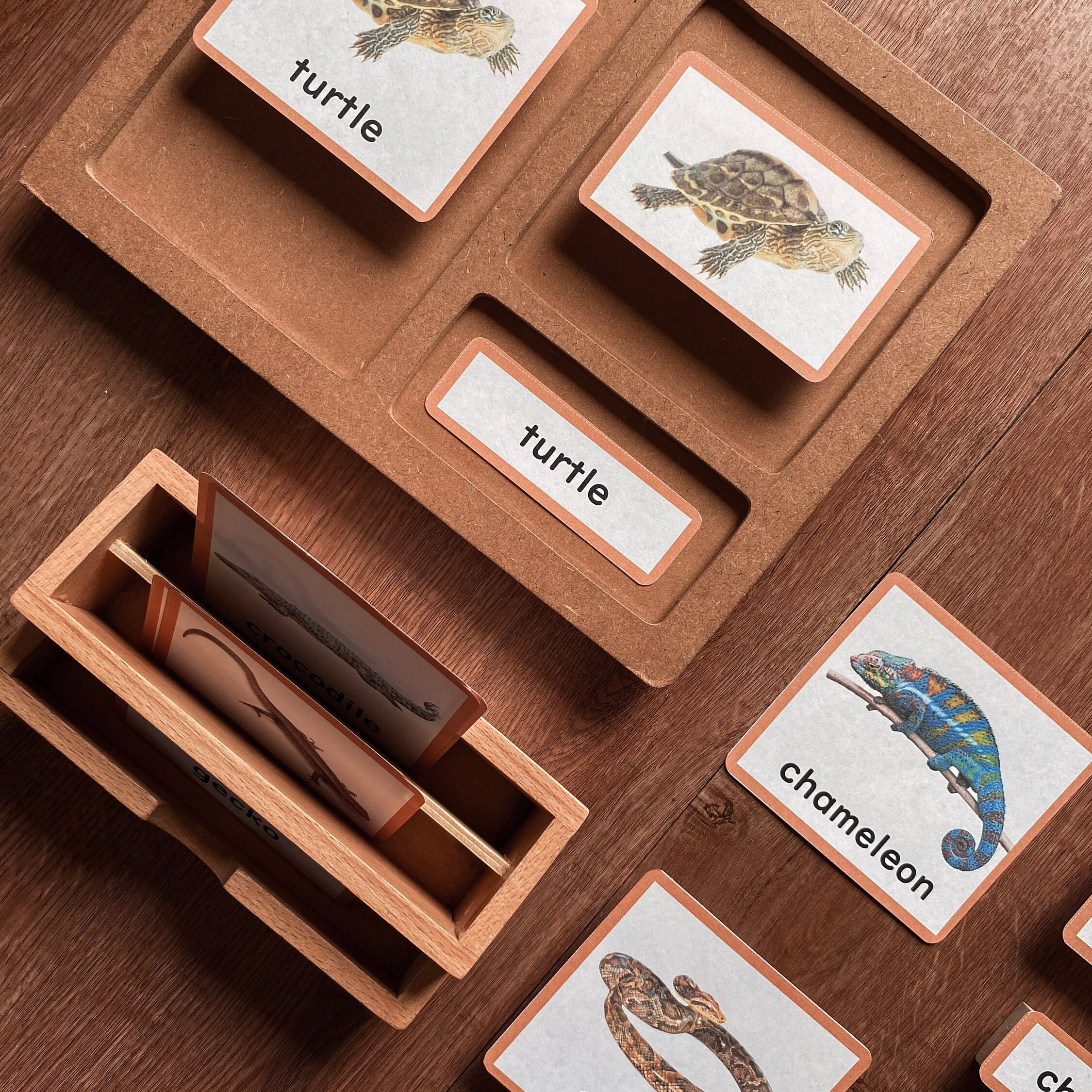 REPTILES Three Part Cards Montessori Nomenclature 3-part Classified ...