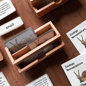 MOLLUSKS Zoology Unit Study Parts of Snail Montessori Nomenclature 5 ...