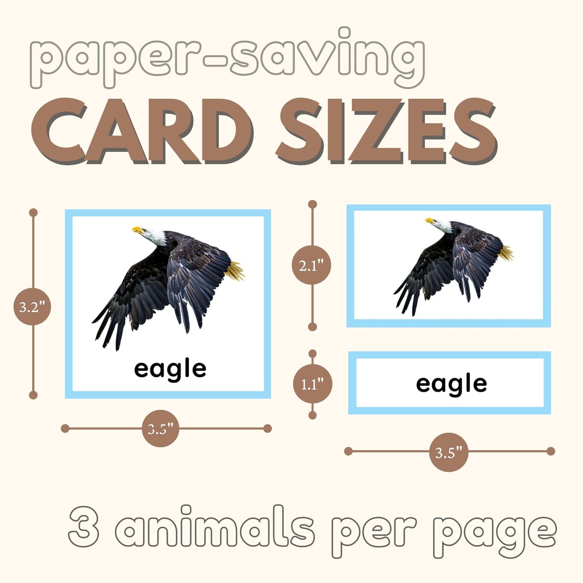 BIRDS Three Part Cards Montessori Nomenclature 3-part Classified Cards ...