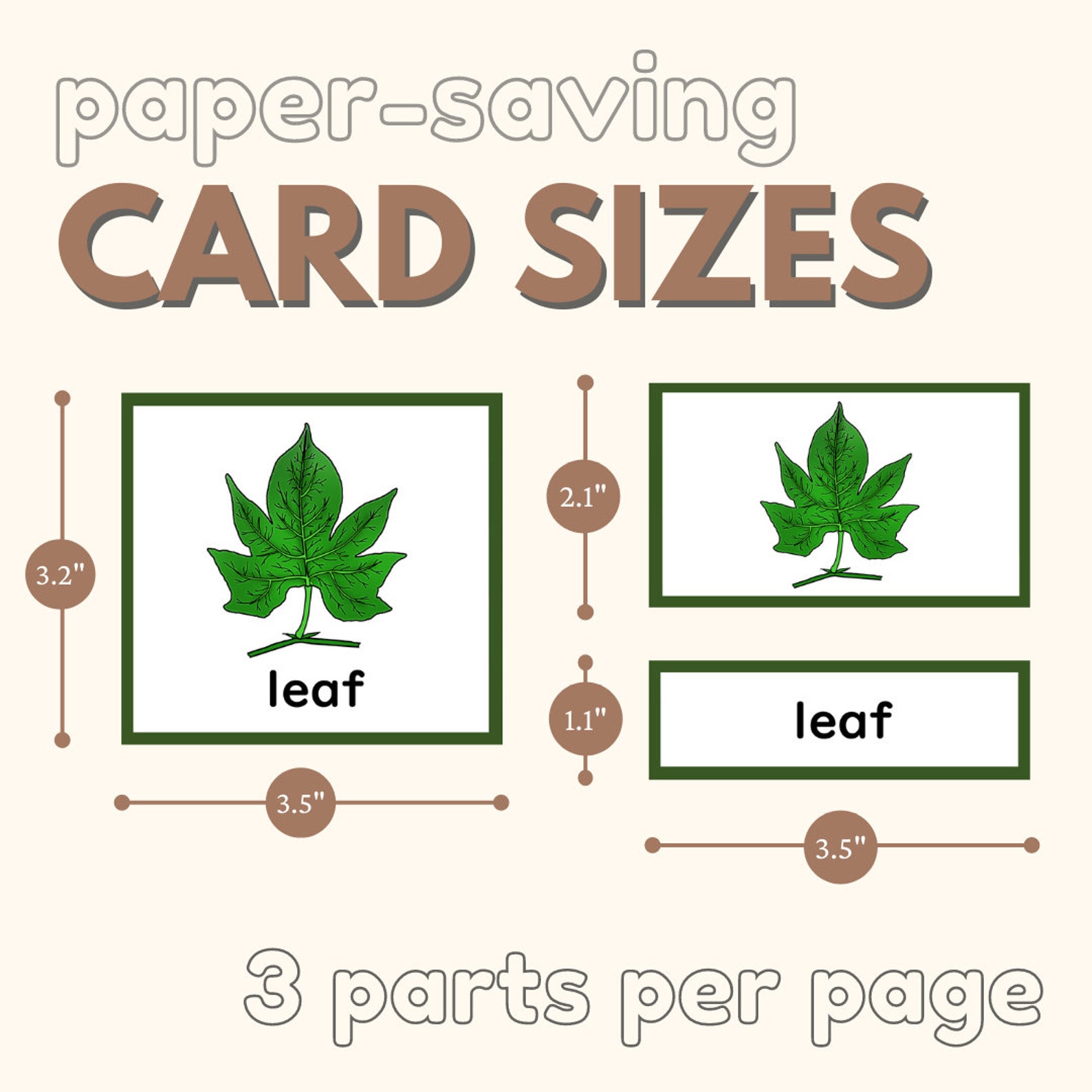 Parts of the LEAF Montessori Botany Unit Study 5-part Card Definition ...