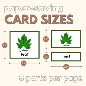 Parts of the LEAF Montessori Botany Unit Study 5-part Card Definition ...
