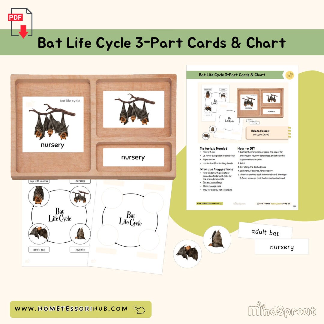 Bat Life Cycle 3-part Cards & Chart Zoology Montessori Printable ...
