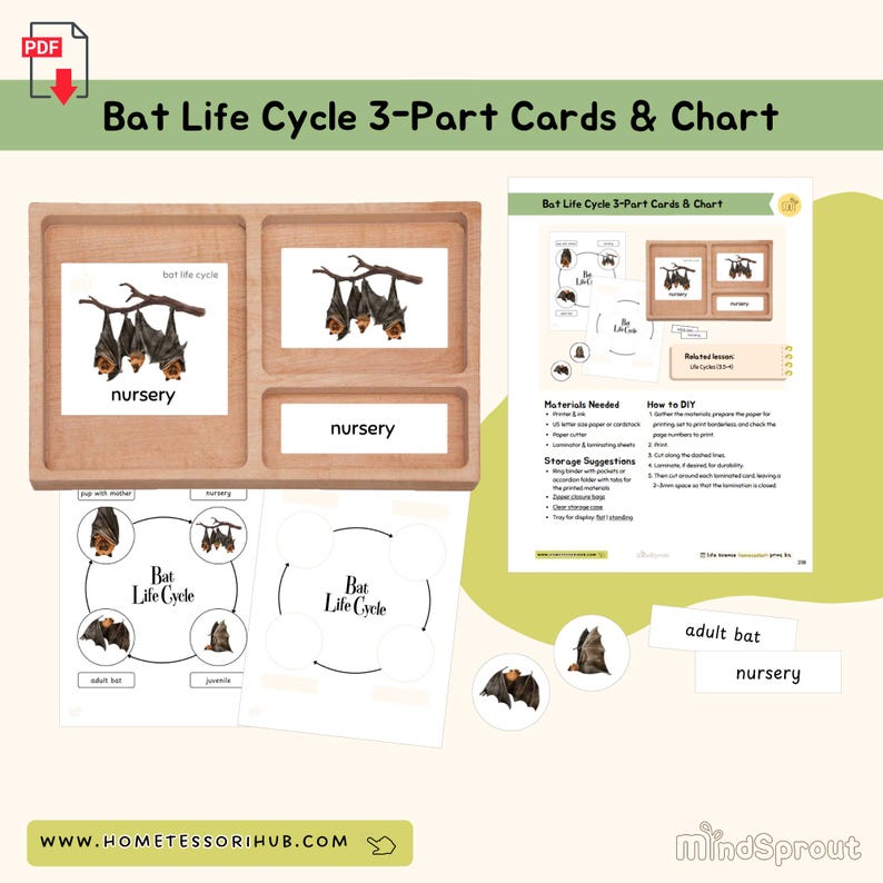 Bat Life Cycle 3-part Cards & Chart Zoology Montessori Printable ...