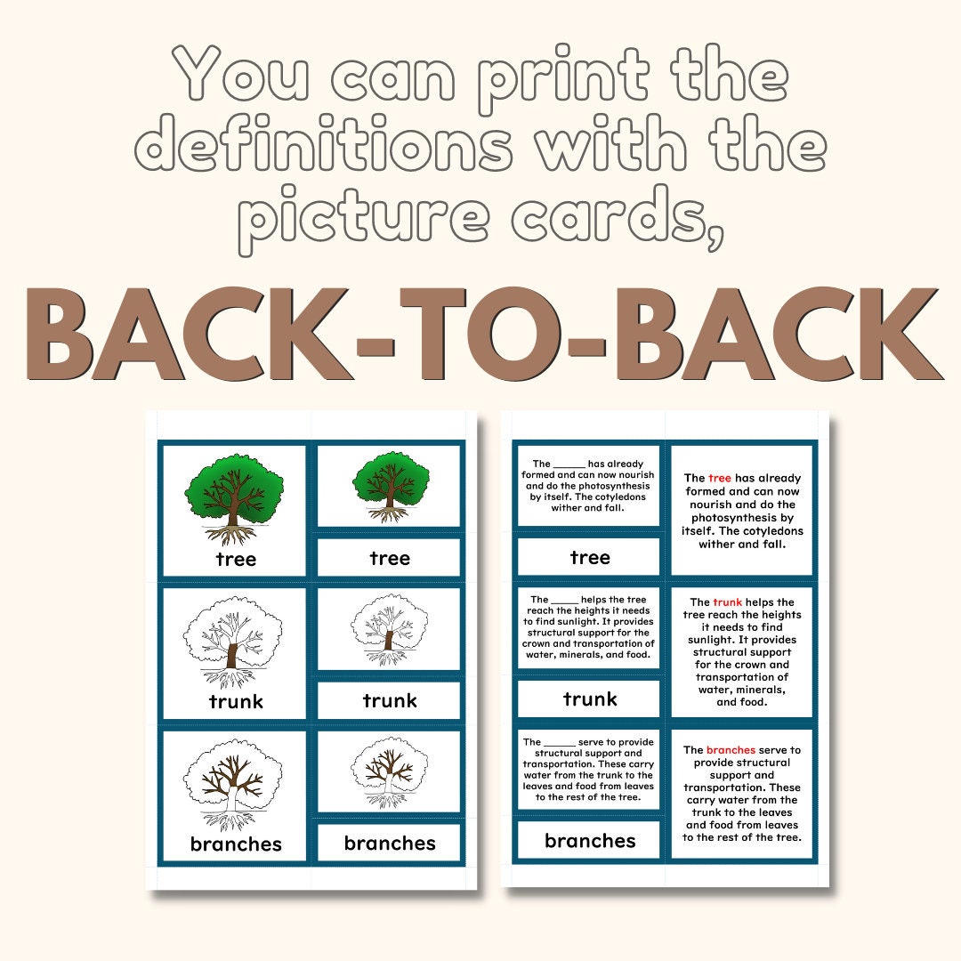 Parts of the TREE Montessori Botany Unit Study 5-part Card Definition ...