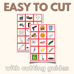 Montessori Language CVC Words Phonetic Reading Level 1 RED Picture ...