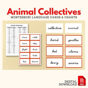 Animal Vocabulary Cards Charts CURSIVE Montessori Language Material ...