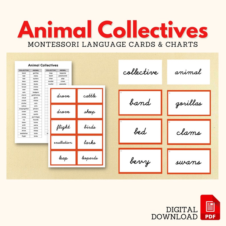 Animal Vocabulary Cards Charts CURSIVE Montessori Language Material ...