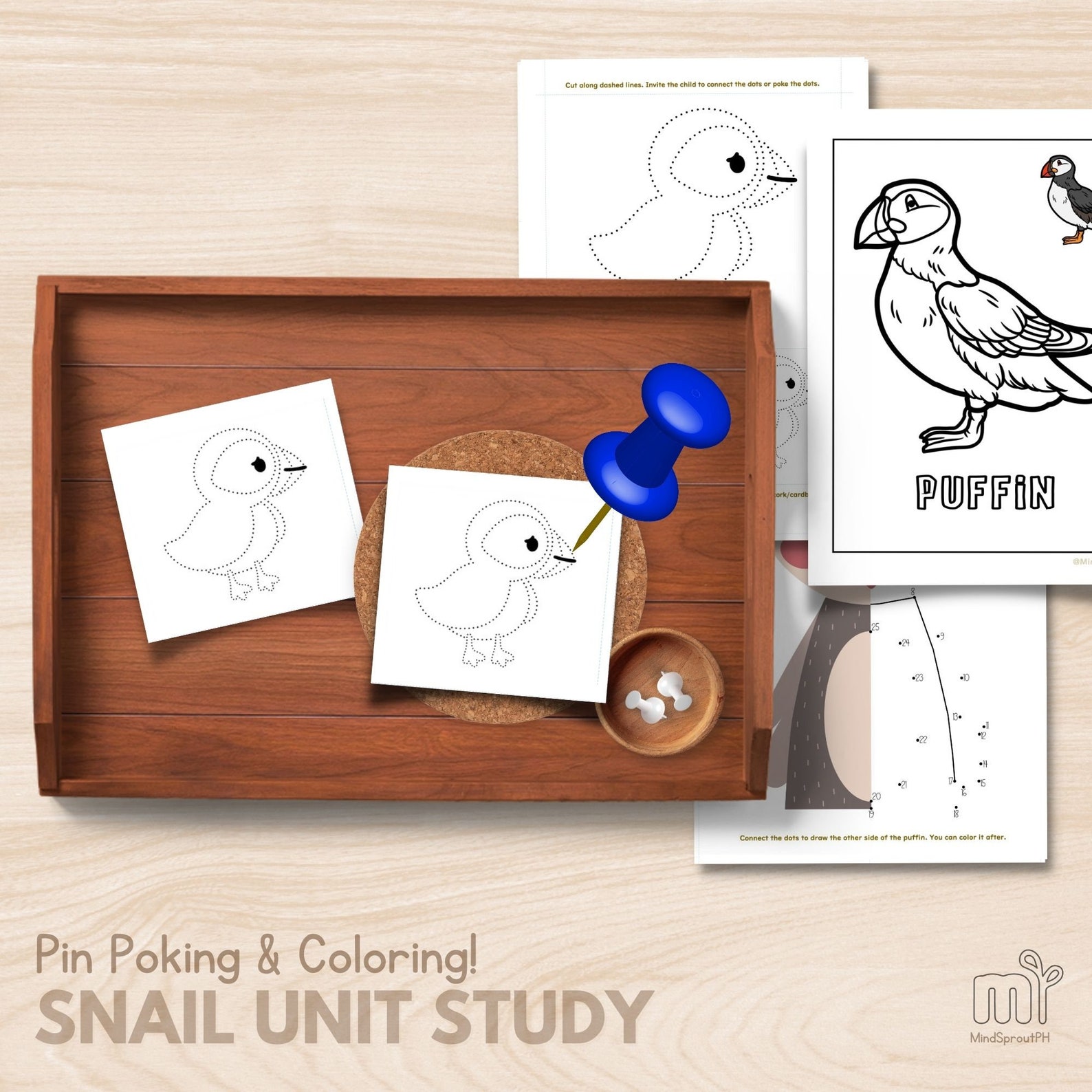 PUFFIN Unit Study Preschool Arctic Animal Activity Puffin Coloring ...