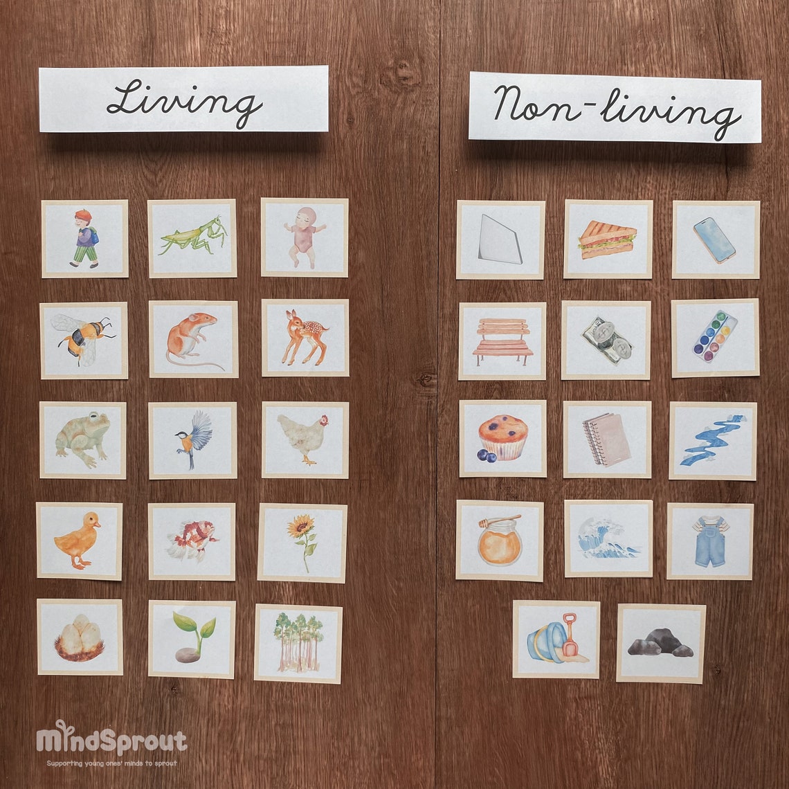 LIVING and Non-living Sorting Cards Montessori Activity Preschool ...