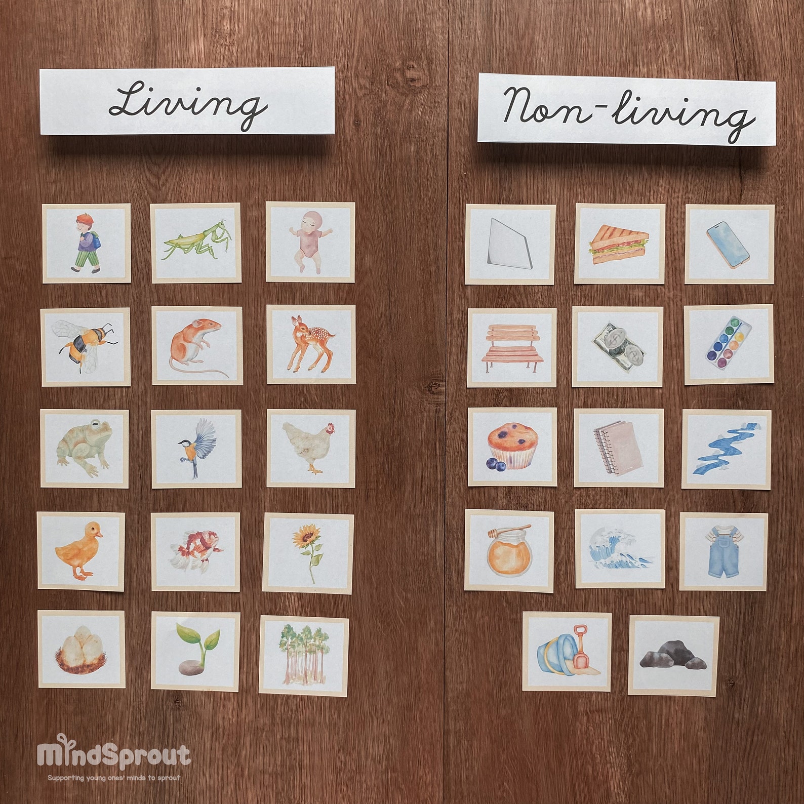 LIVING and Non-living Sorting Cards Montessori Activity Preschool ...