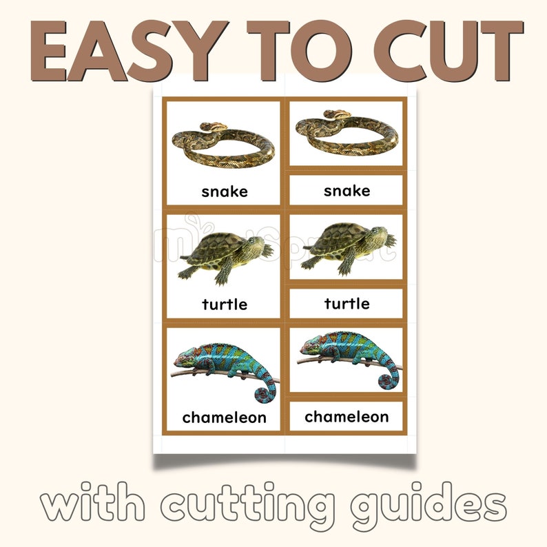 REPTILES Three Part Cards Montessori Nomenclature 3-part Classified ...