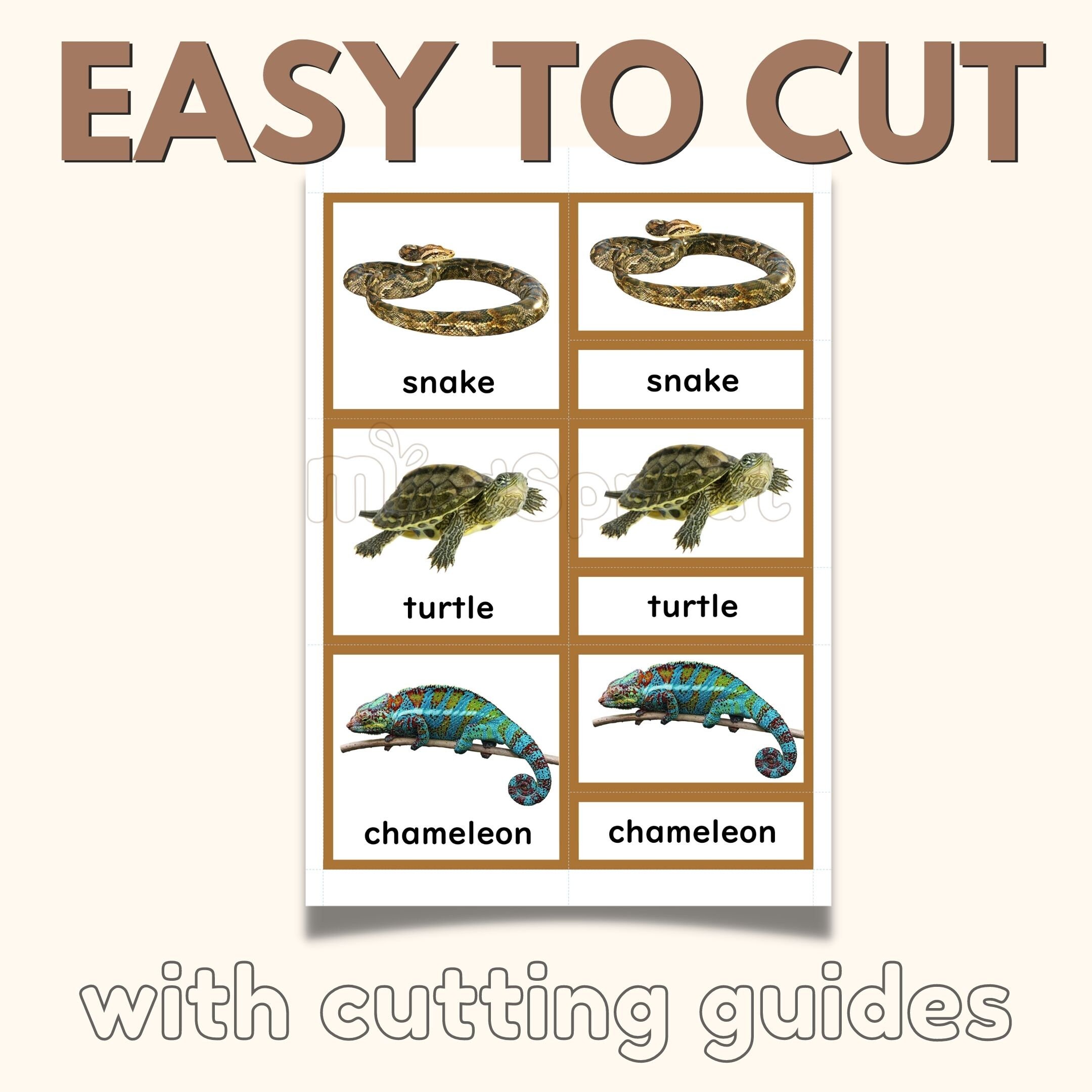 REPTILES Three Part Cards Montessori Nomenclature 3-part Classified ...