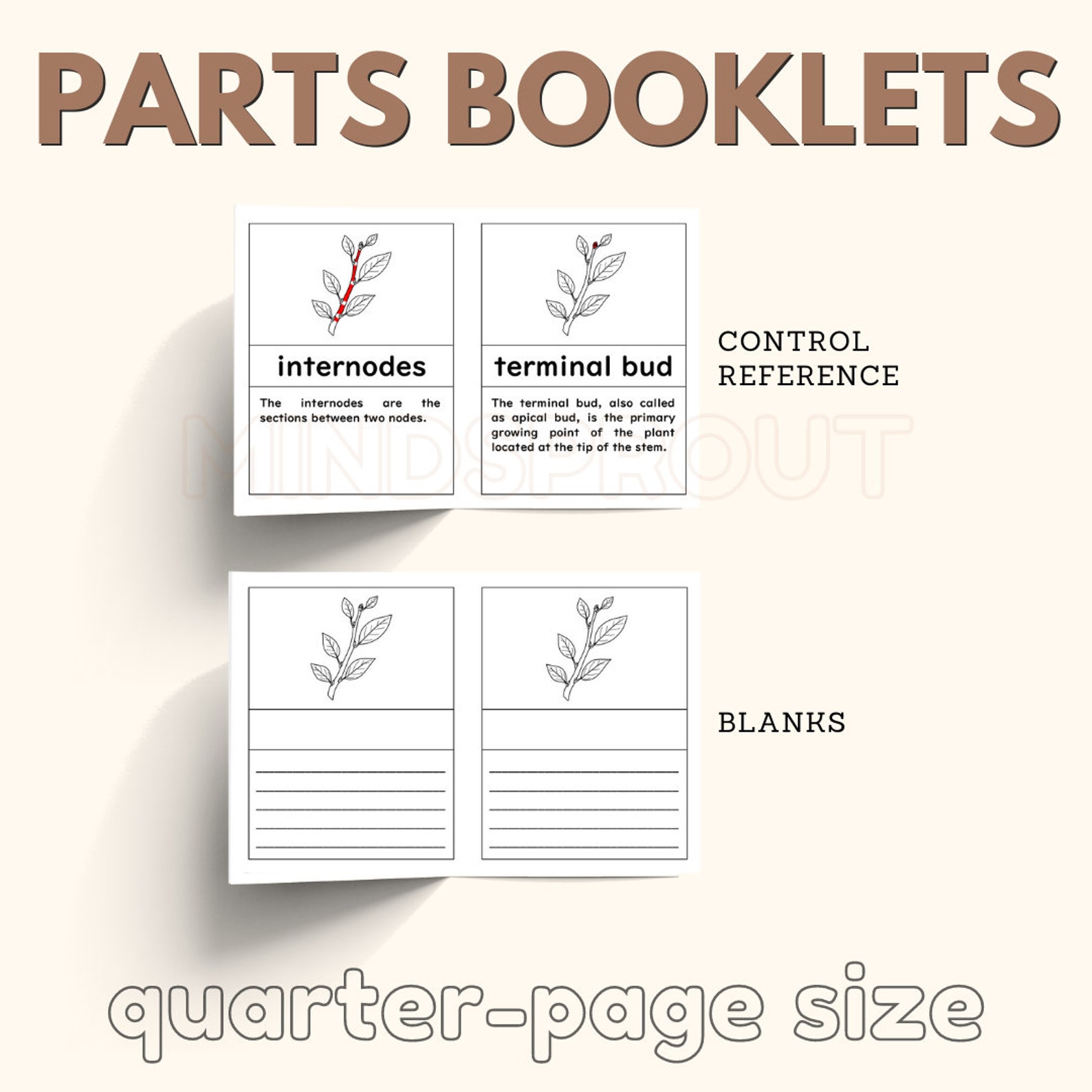 Parts of the STEM Montessori Botany Unit Study 5-part Card Definition ...