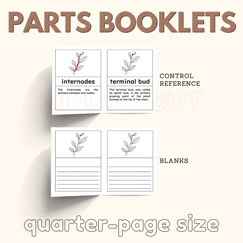 Parts of the STEM Montessori Botany Unit Study 5-part Card Definition ...