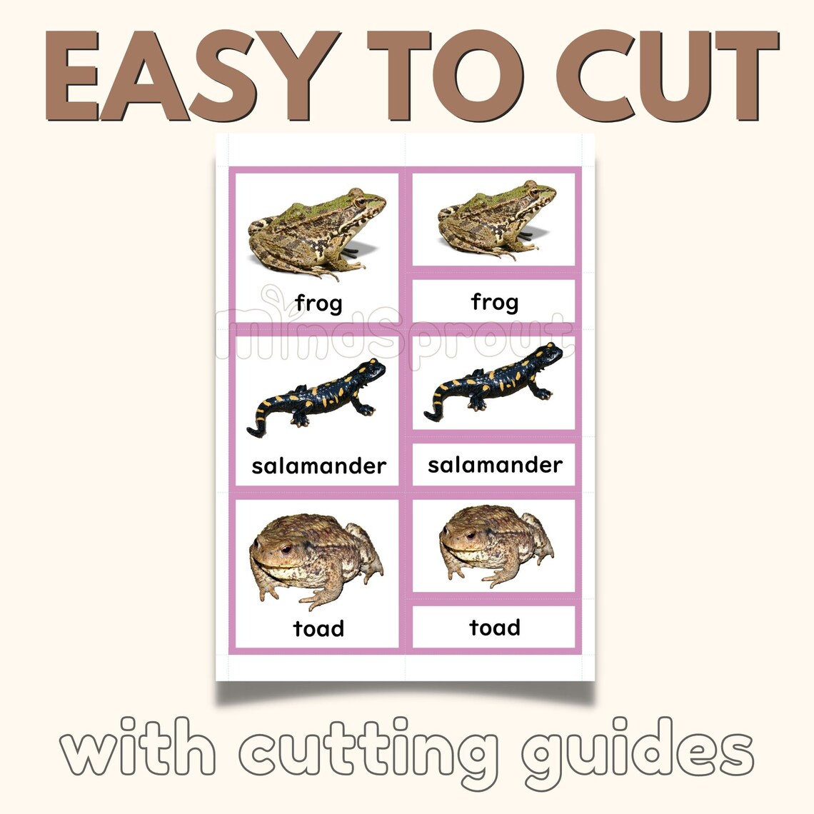 AMPHIBIAN Three Part Cards Montessori Nomenclature 3-part - Etsy