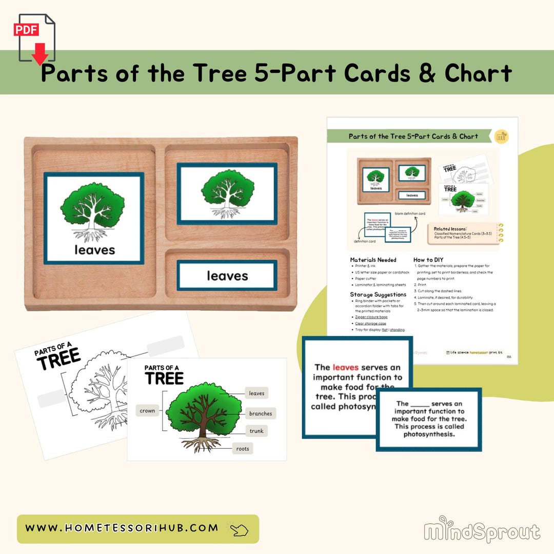 Parts of the Tree 5-part Cards, Chart & Booklets Botany Montessori ...