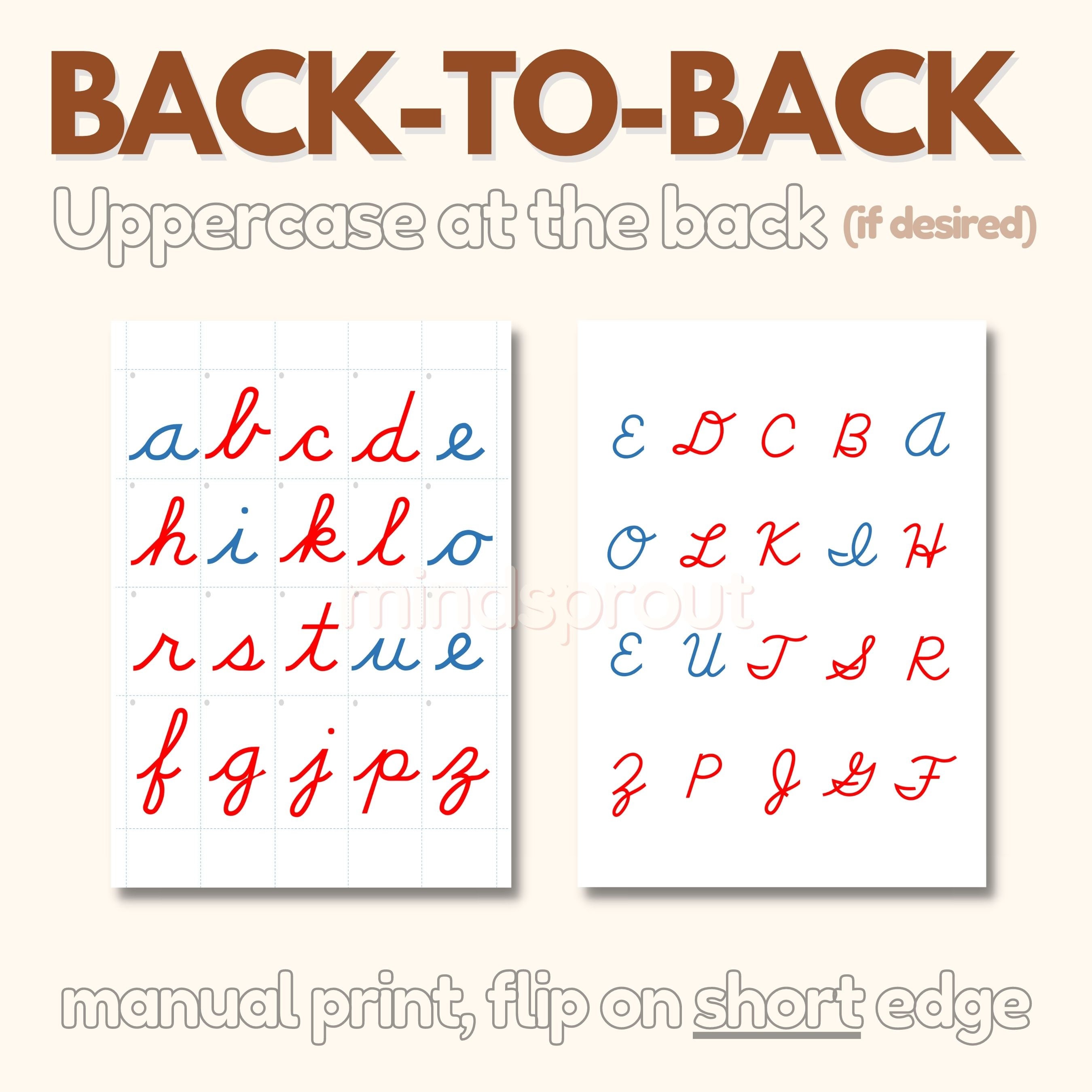 CURSIVE Small Movable Alphabet Letter Montessori Language Material ...