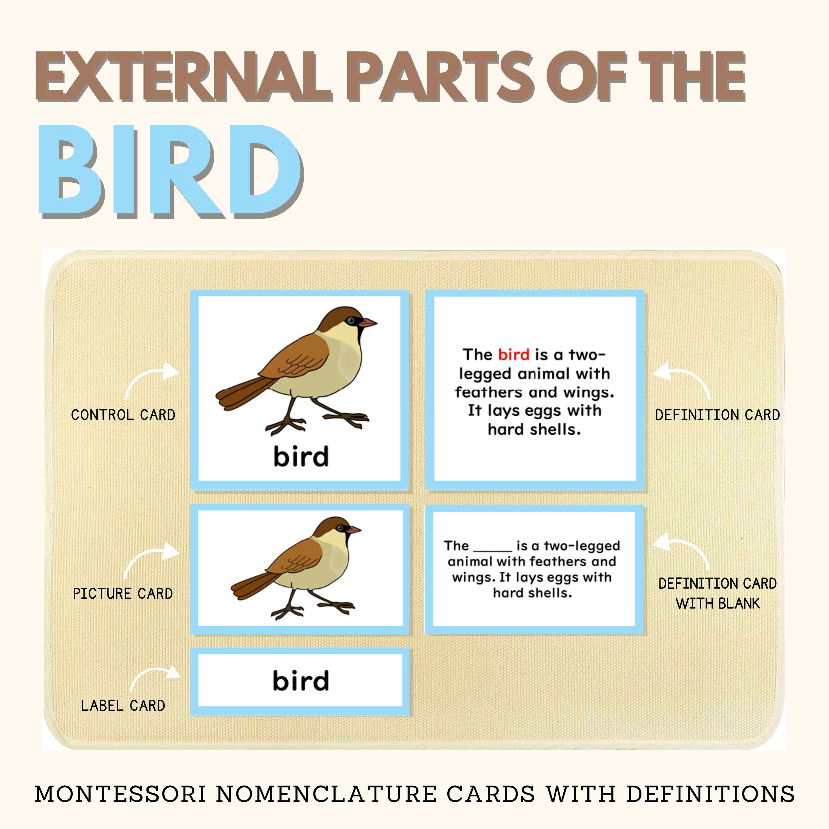 BIRDS Zoology Unit Study Parts of Birds Montessori Nomenclature 5-part ...