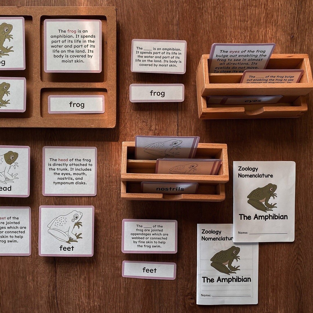 AMPHIBIANS Zoology Unit Study Parts Frog Montessori Nomenclature 5-part ...