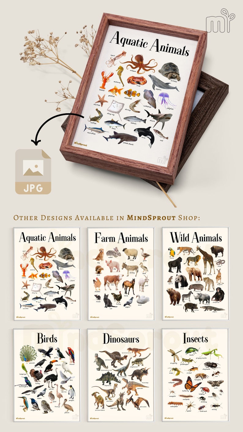 Educational Wall Art Montessori Chart Ocean Animal Poster Home Decor ...