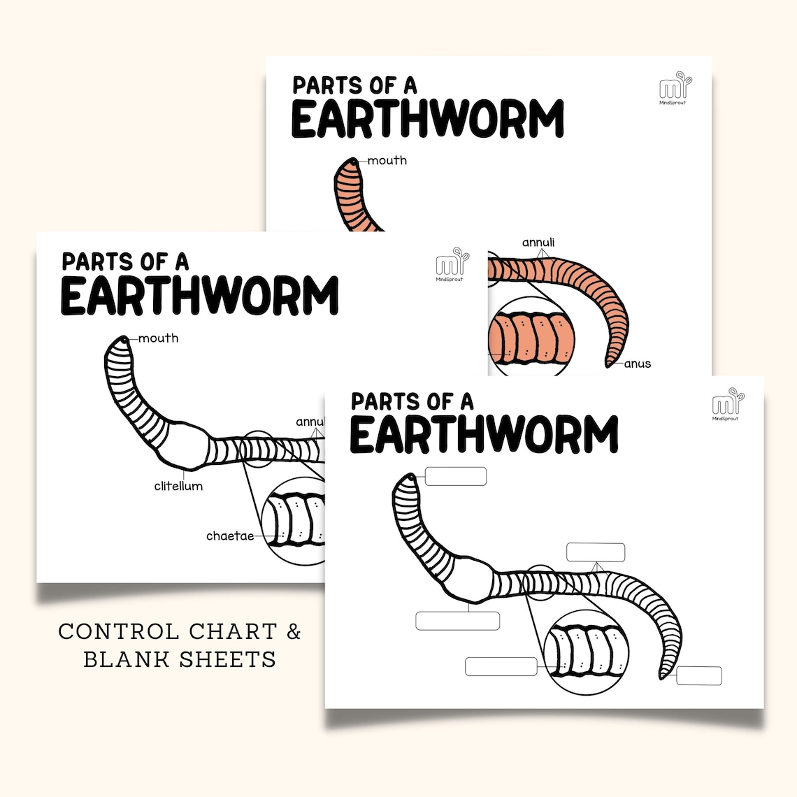 Montessori Zoology INVERTEBRATES Control Chart Blackline Masters ...