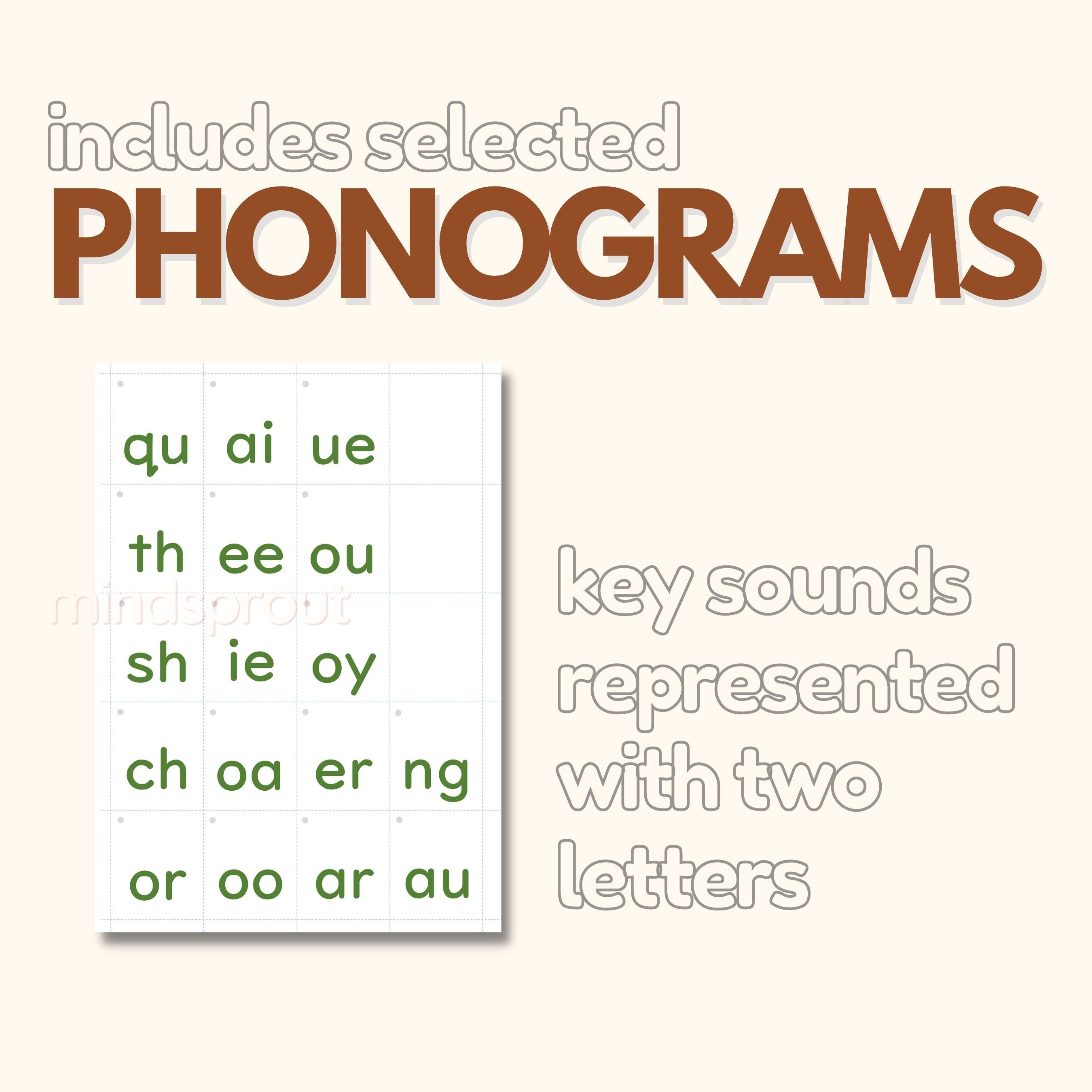 PRINT Small Movable Alphabet Letter Montessori Language Material ...