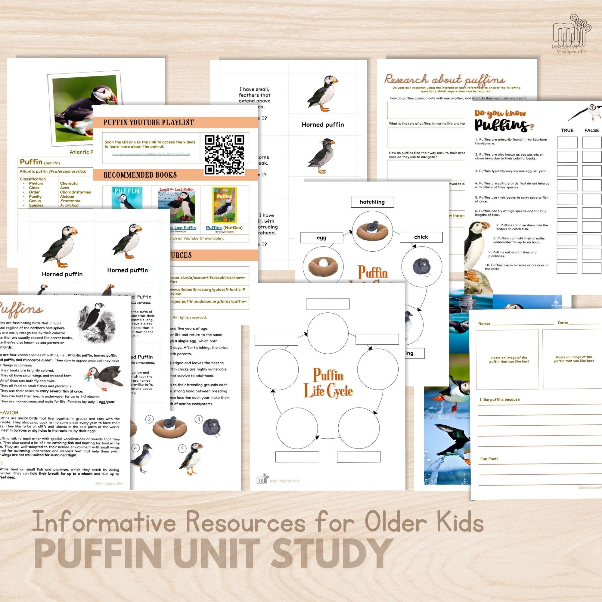 PUFFIN Unit Study for Elementary Parts of the PUFFIN Species Life Cycle ...