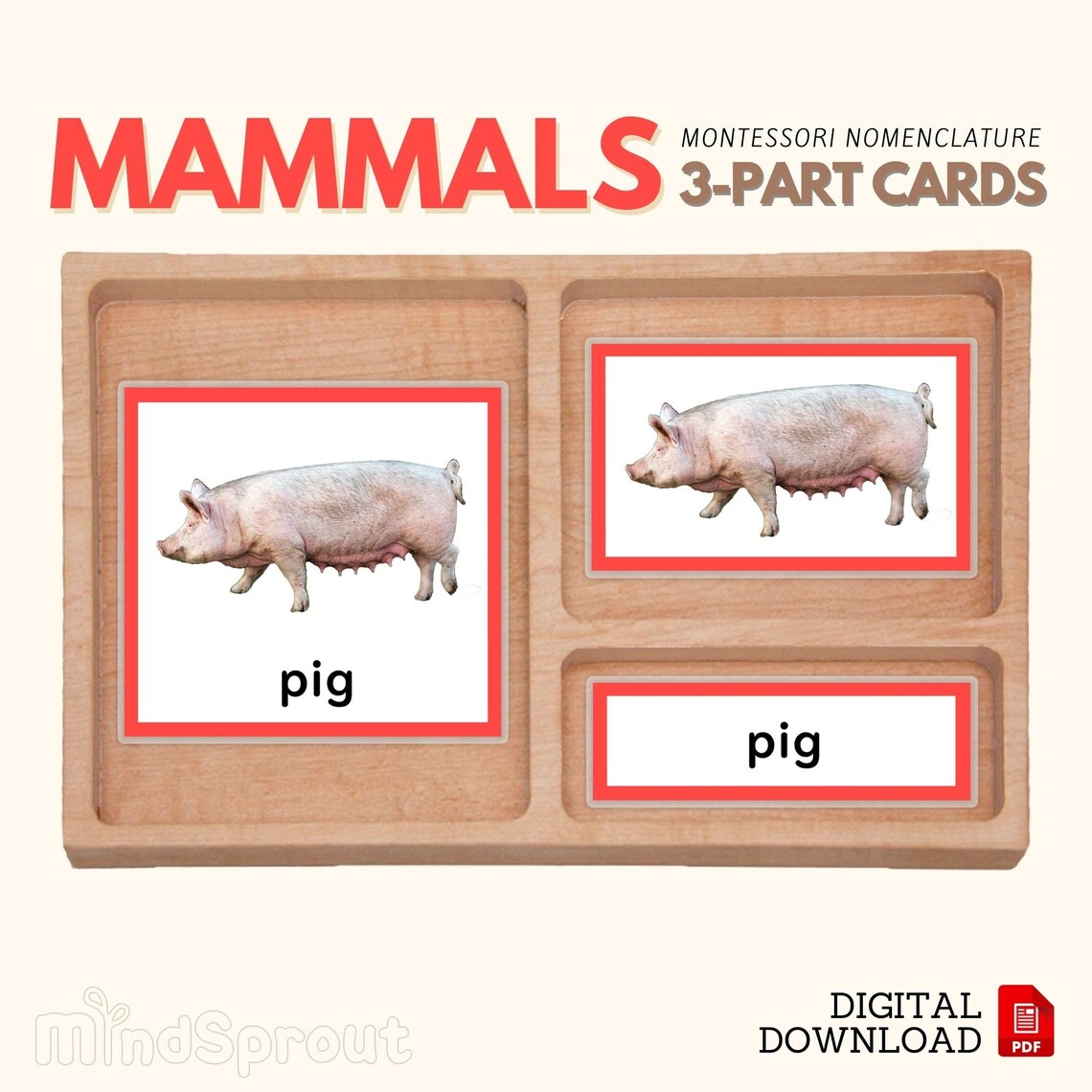 MAMMALS Three Part Cards Montessori Nomenclature 3-part Classified ...