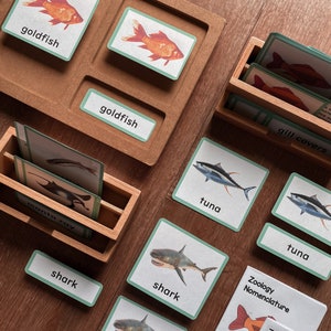 FISH Zoology Unit Study Parts of Fishes Montessori Nomenclature 5-part ...