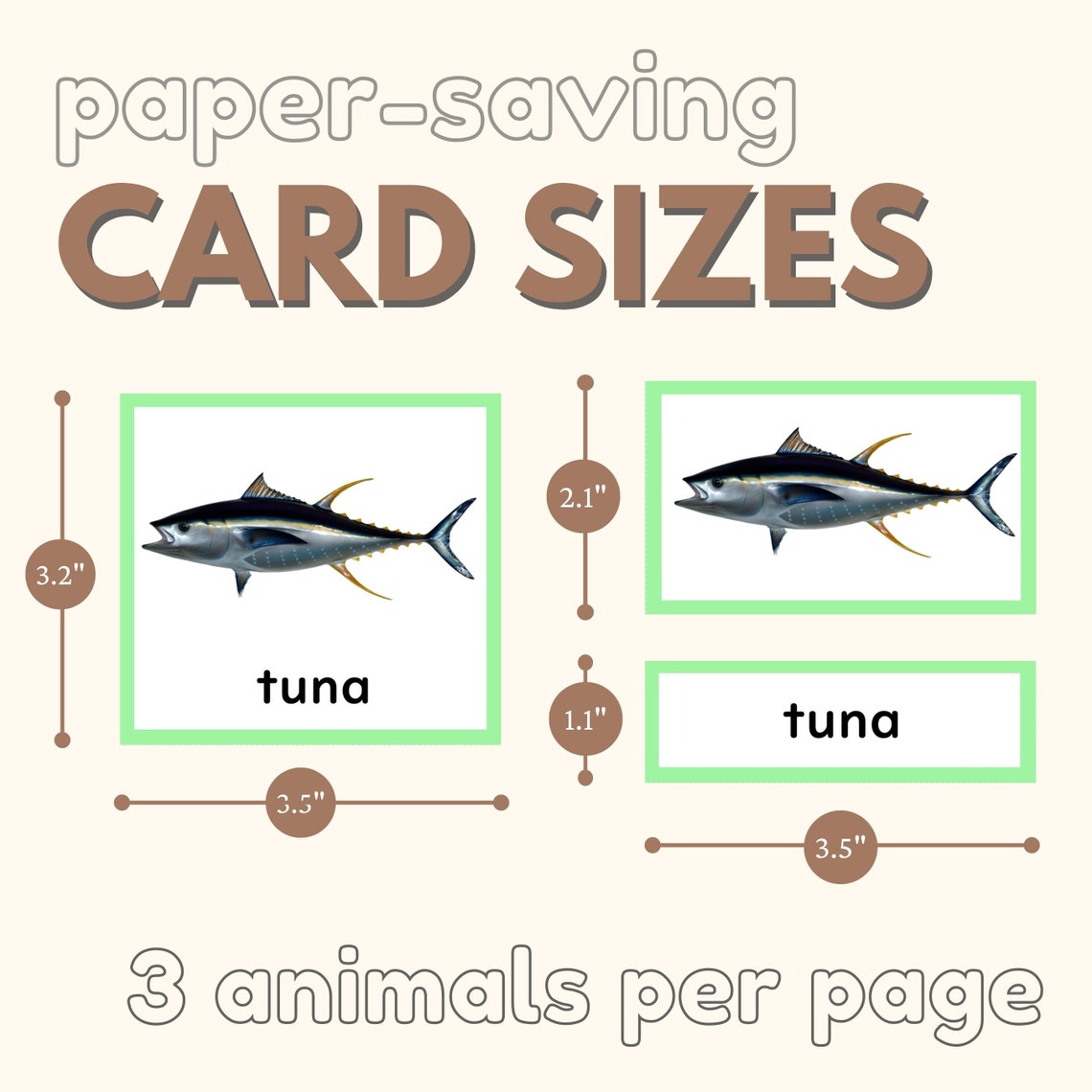 FISH Zoology Unit Study Parts of Fishes Montessori - Etsy