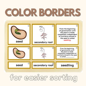 Plant LIFE CYCLE Part of Plant Montessori Botany Unit Study 5-part Card ...