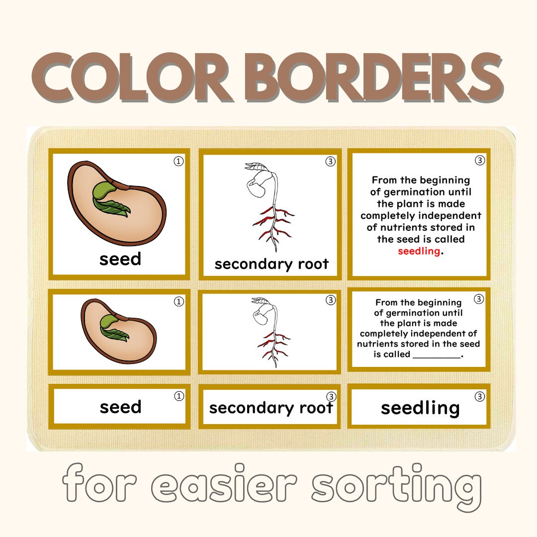 Plant LIFE CYCLE Part of Plant Montessori Botany Unit Study 5-part Card ...