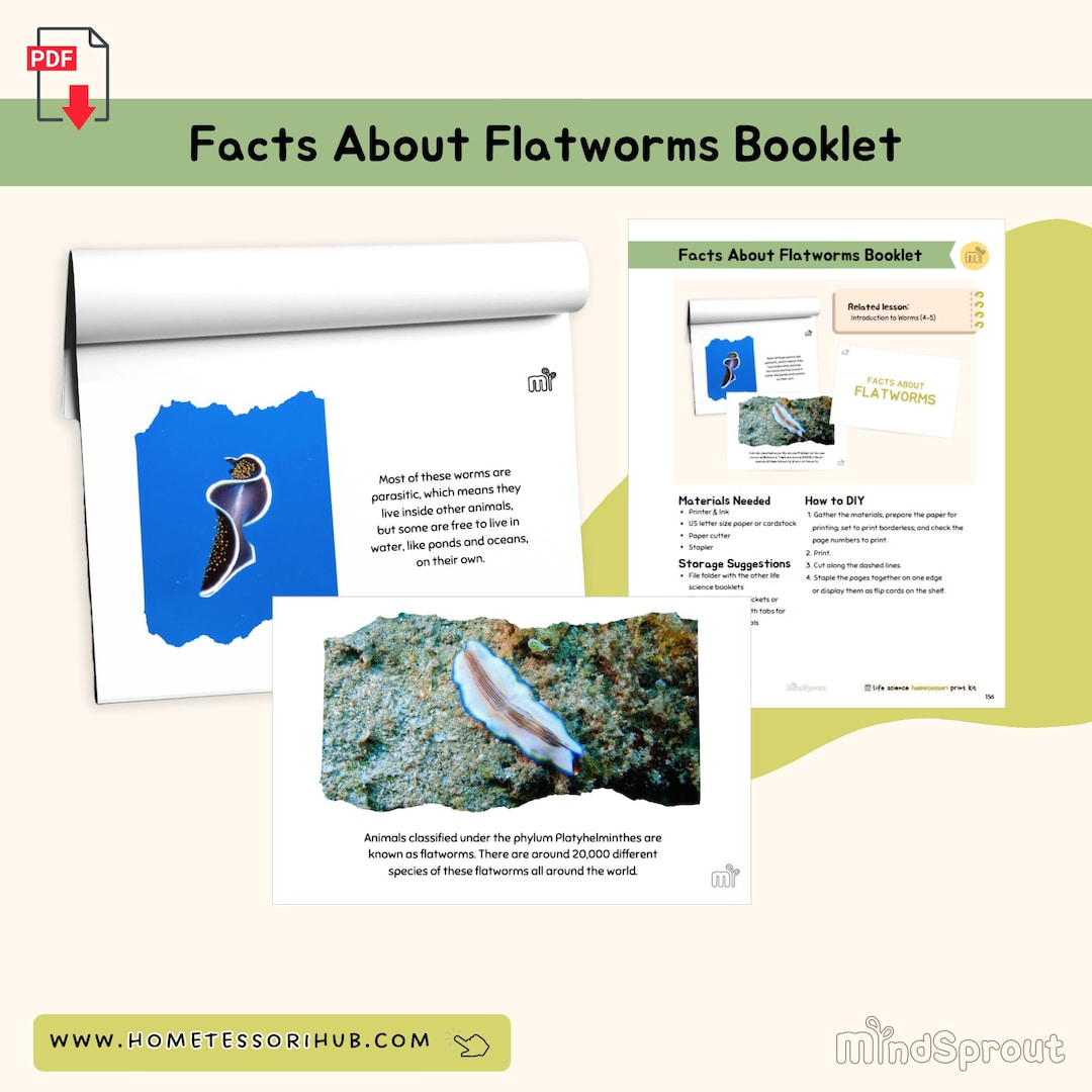 Facts About Flatworms Booklet Zoology Montessori Printable Material - Etsy